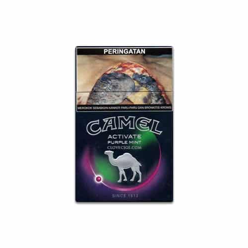 Camel Activate Purple Mint cigarettes 10 cartons|Camel Activate Purple ...